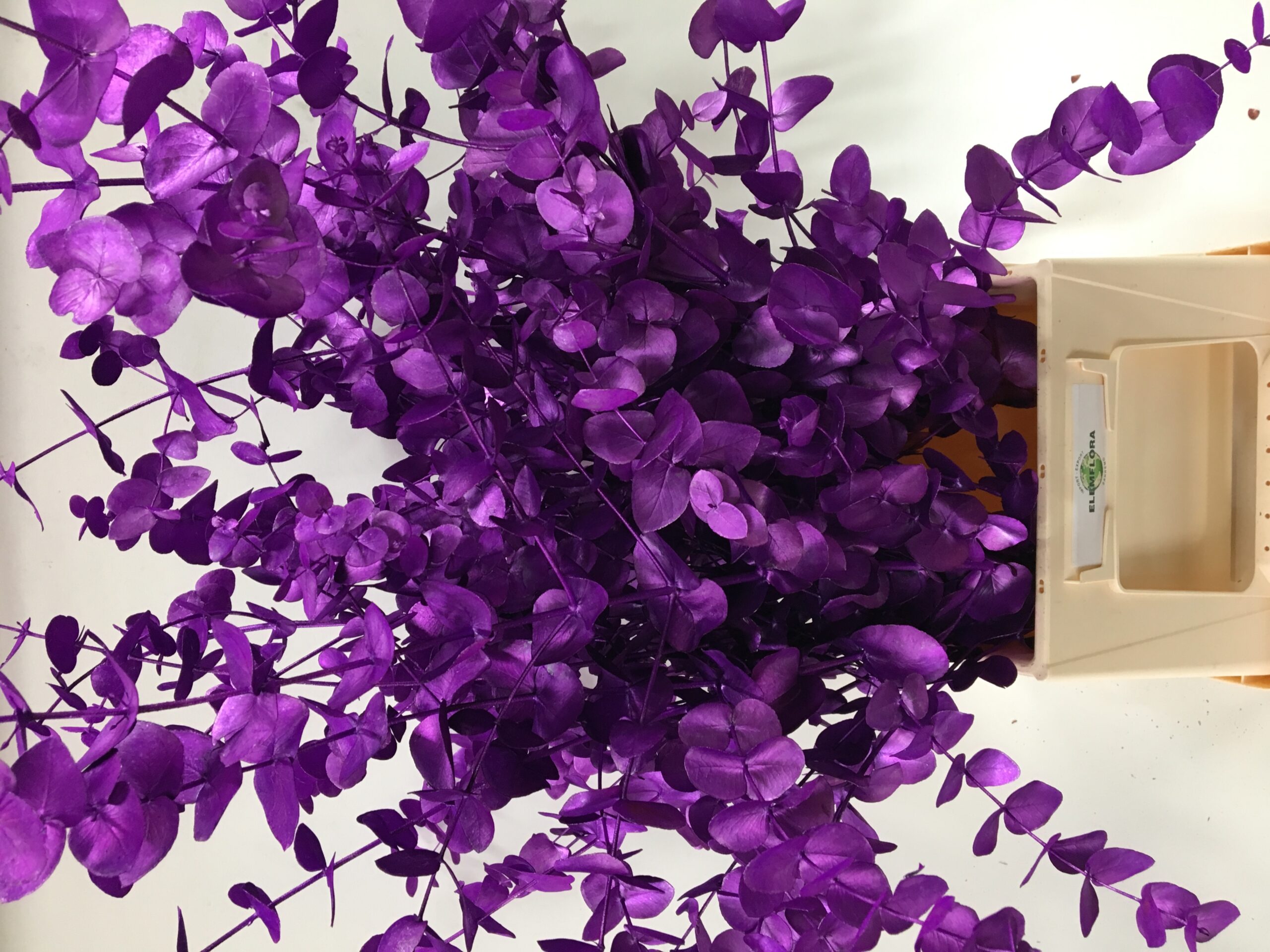 Cinerea metallic Violet-Cod 09 - Elemflora