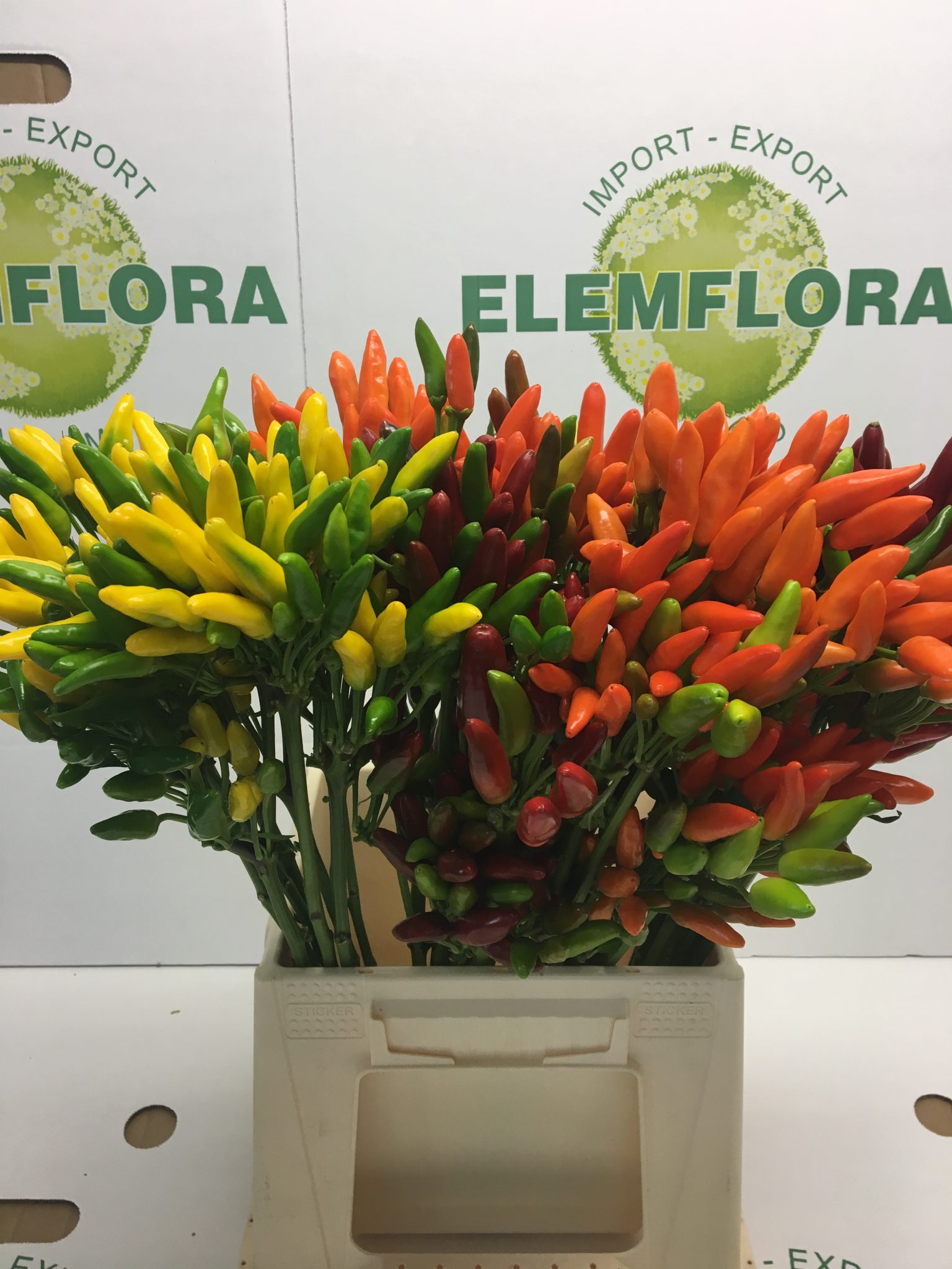 Peperette Paprika - Elemflora