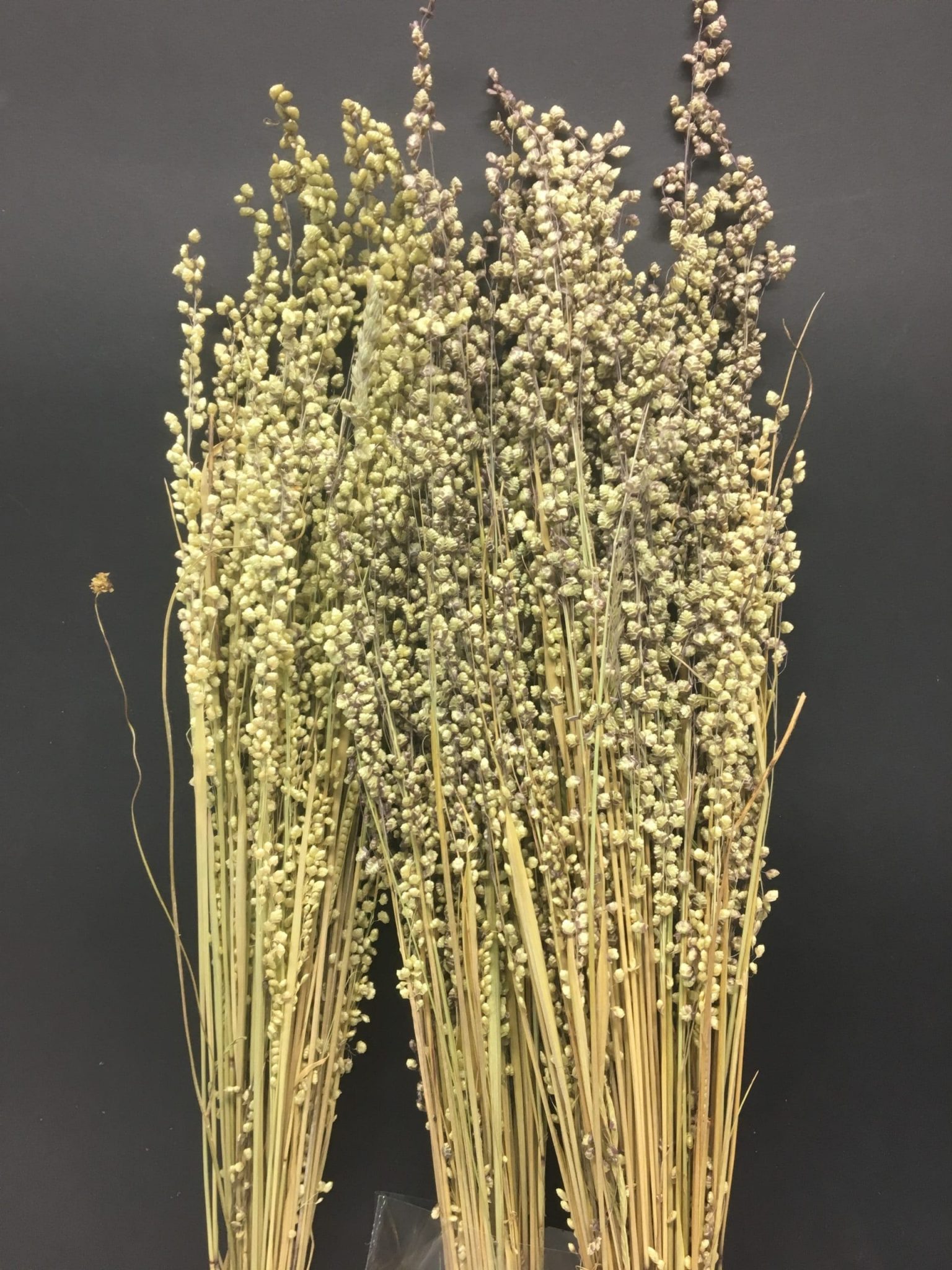 BRIZA MINIMA NATURALE - Elemflora